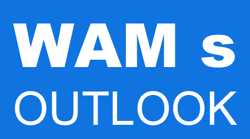 How do I fix WAM errors in Outlook? - Error Solutions