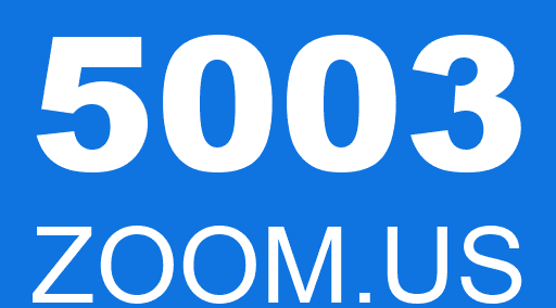 How do you fix the Zoom Error Code 5003? - Error Solutions